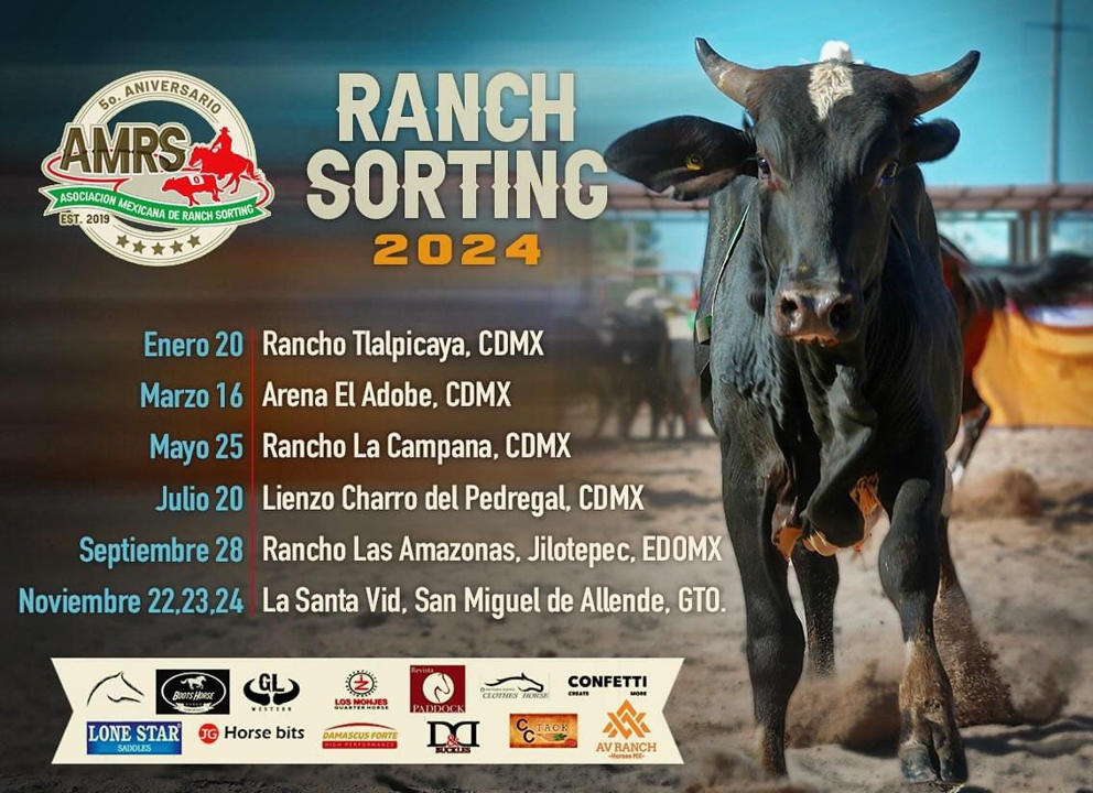 Rodeo y Ranchsorting | Revista Paddock